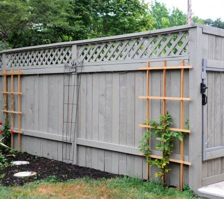 Painted Lattice Panels