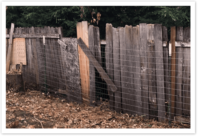 Rick's Annual Ugly Fence Contest